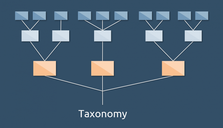 Google Taxonomy Nedir ve Nasıl Kullanılır? - 360stradigi.com